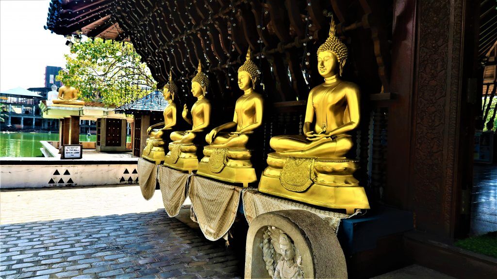 Best things to do in Colombo - Bev & Shams Adventures